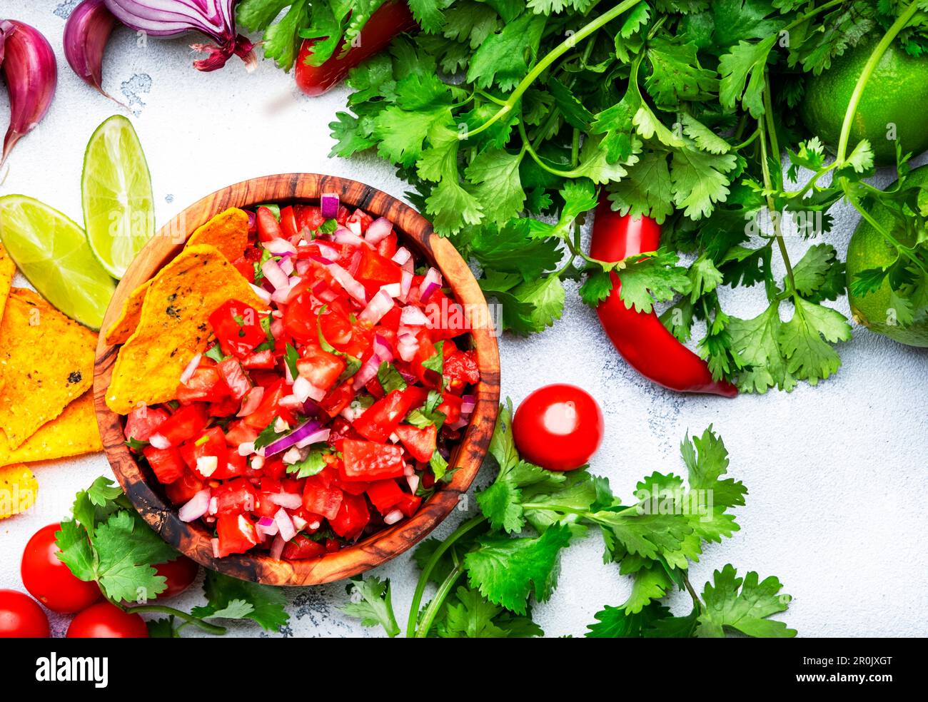 Salsa sauce with tomatoes, chili peppers, onion, garlic and cilantro ...