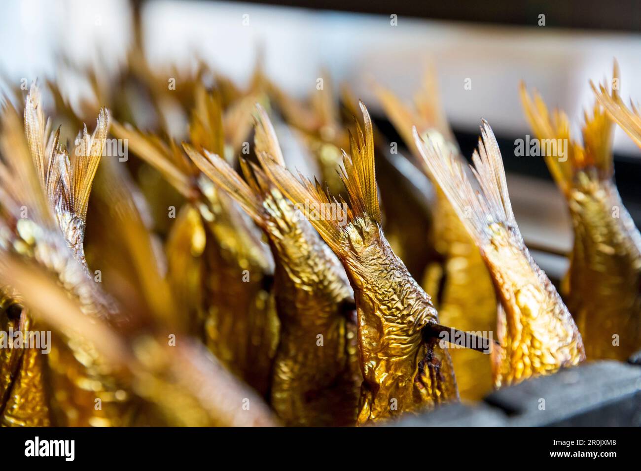 Smoked fish, herring, smokehouse, fishing village, Baltic sea, Bornholm ...
