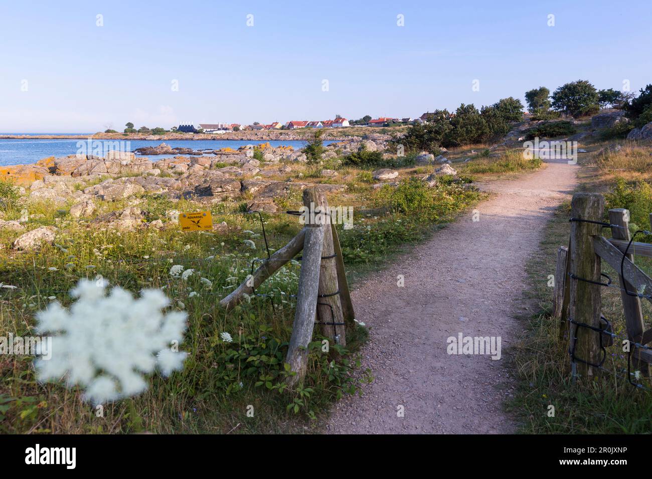 beautiful hiking trail from Svaneke to Listed, rocky shore, Summer ...