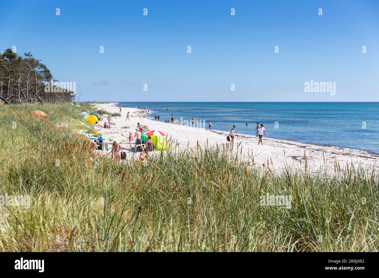 People on the beach, dream beach between Strandmarken und Dueodde ...