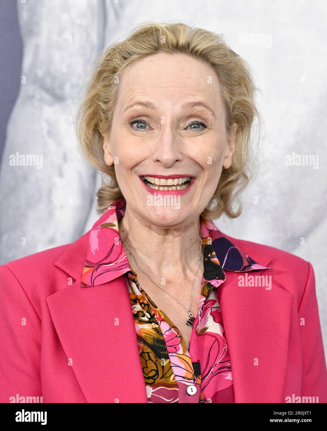 Laila Robins attends the premiere of "Book Club: The Next Chapter" at ...