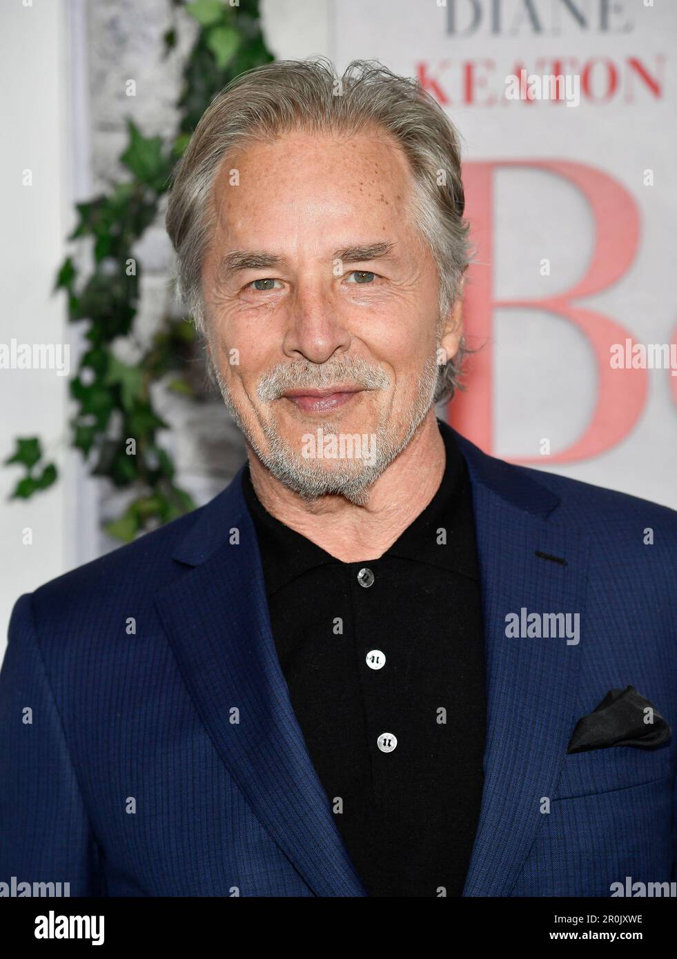 Don Johnson attends the premiere of "Book Club: The Next Chapter" at ...