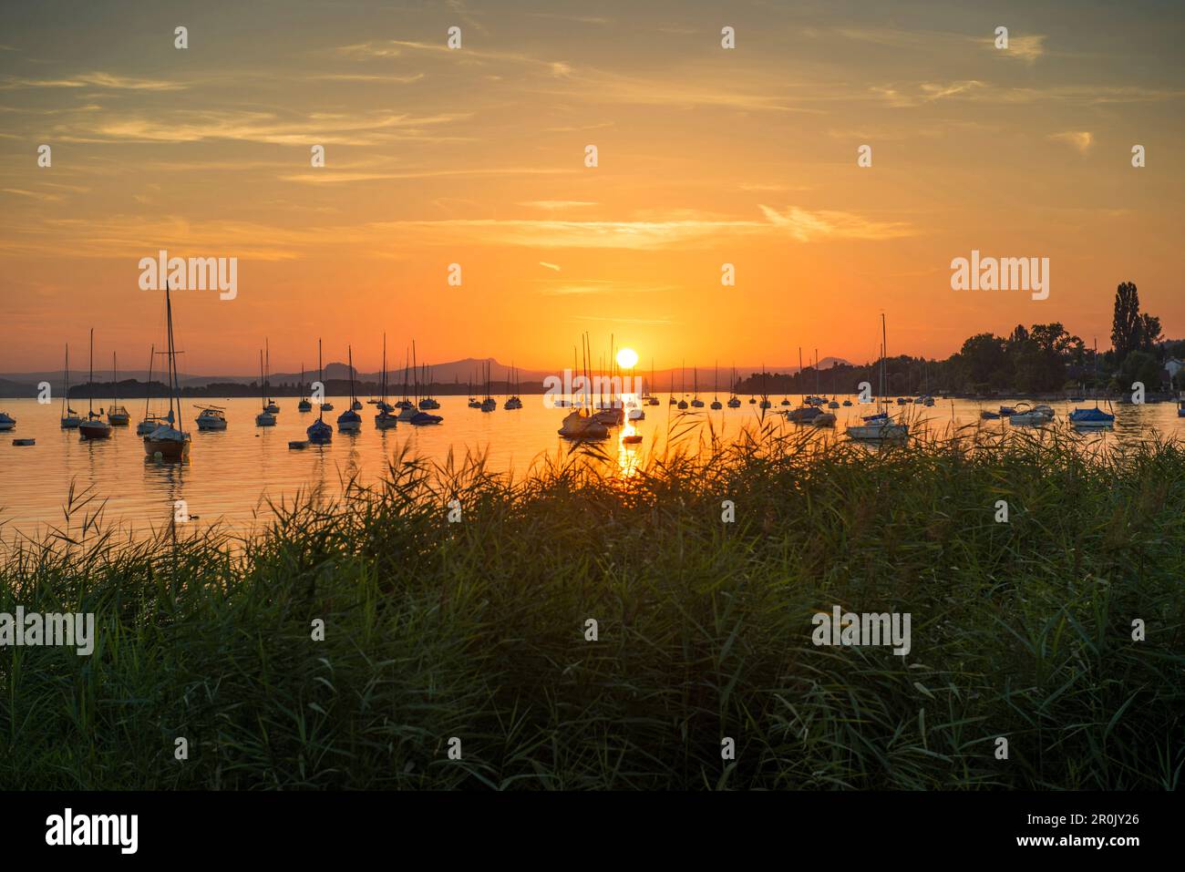 Allensbach lake constance hi-res stock photography and images - Alamy