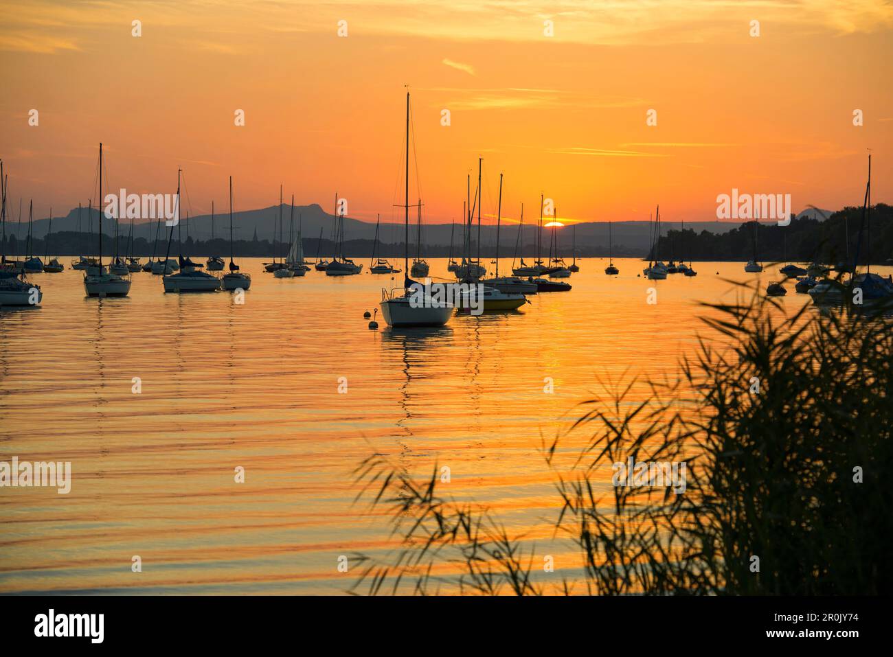 Allensbach lake constance hi-res stock photography and images - Alamy