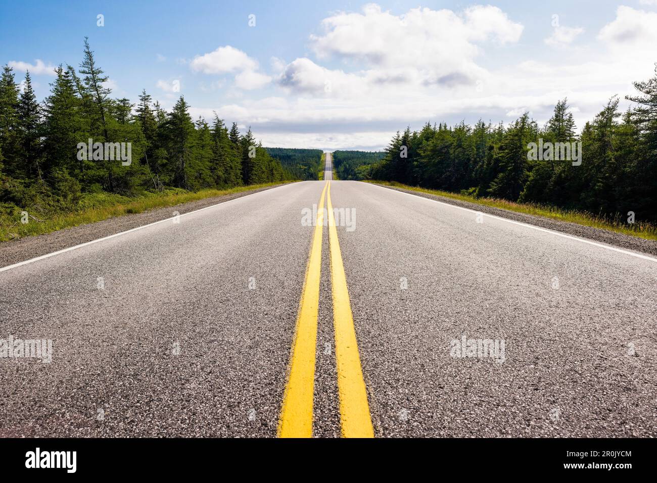 Endless Street through the forest in the Cape Breton Highlands park ...