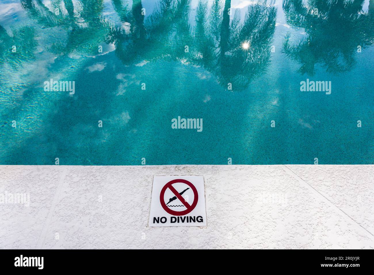 Pool, No Diving sign, water reflection with palm trees, Naples, Florida ...