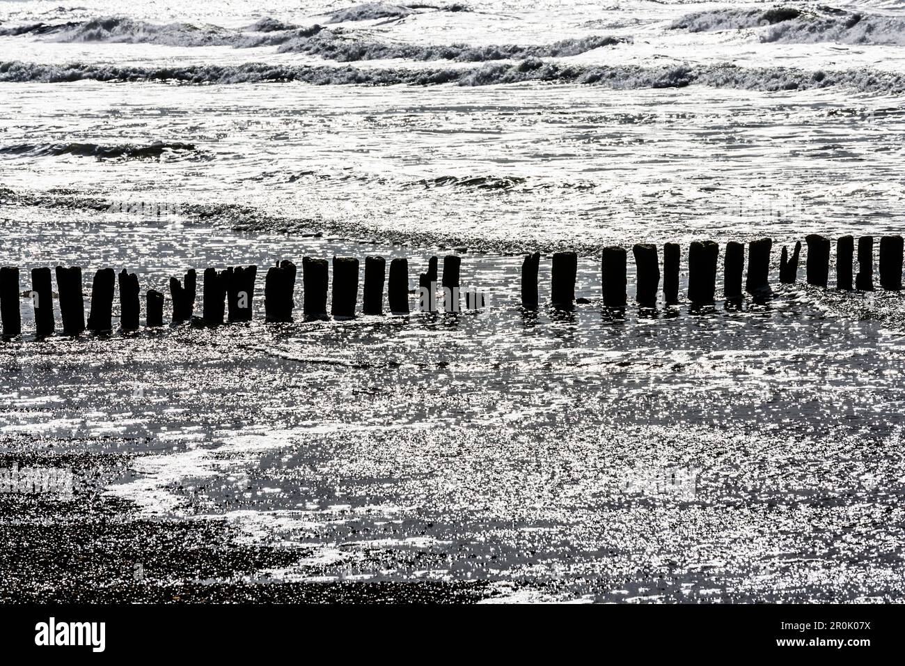 Graphic view of the surf on the beach with wooden bollard in the ...