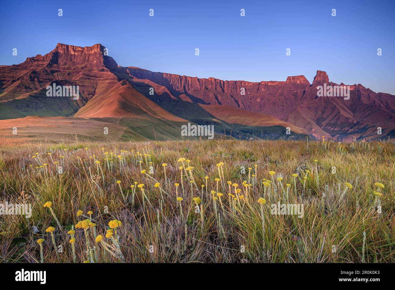 Sunrise at Amphitheatre with Eastern Buttress and Sentinel, Tugela ...