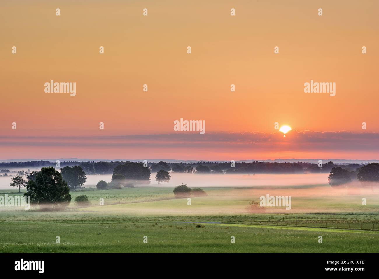 Sunrise above moor of Bad Feilnbach with fog, Bad Feilnbach, Upper ...