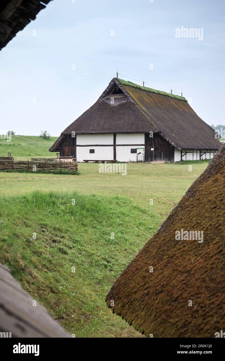 view towards longhouse at open air museum Heuneburg, celtic settlement ...