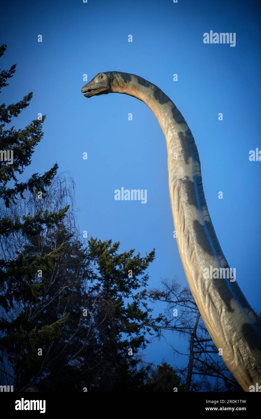 Dinosaur neck rises in outdoor area of primeval world museum Hauff ...