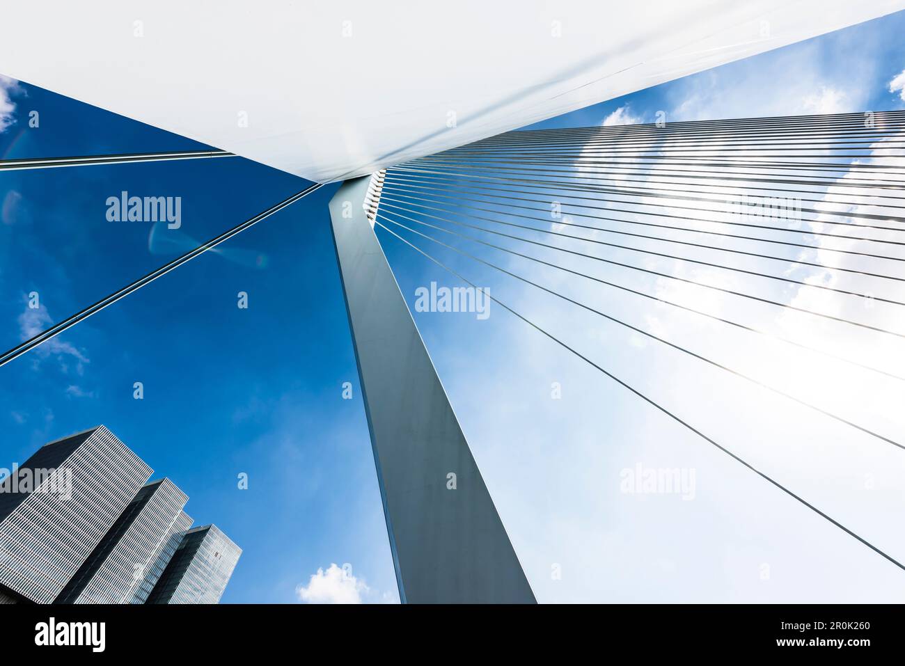 The pylon of the Erasmus bridge from a low angle view with view to the ...
