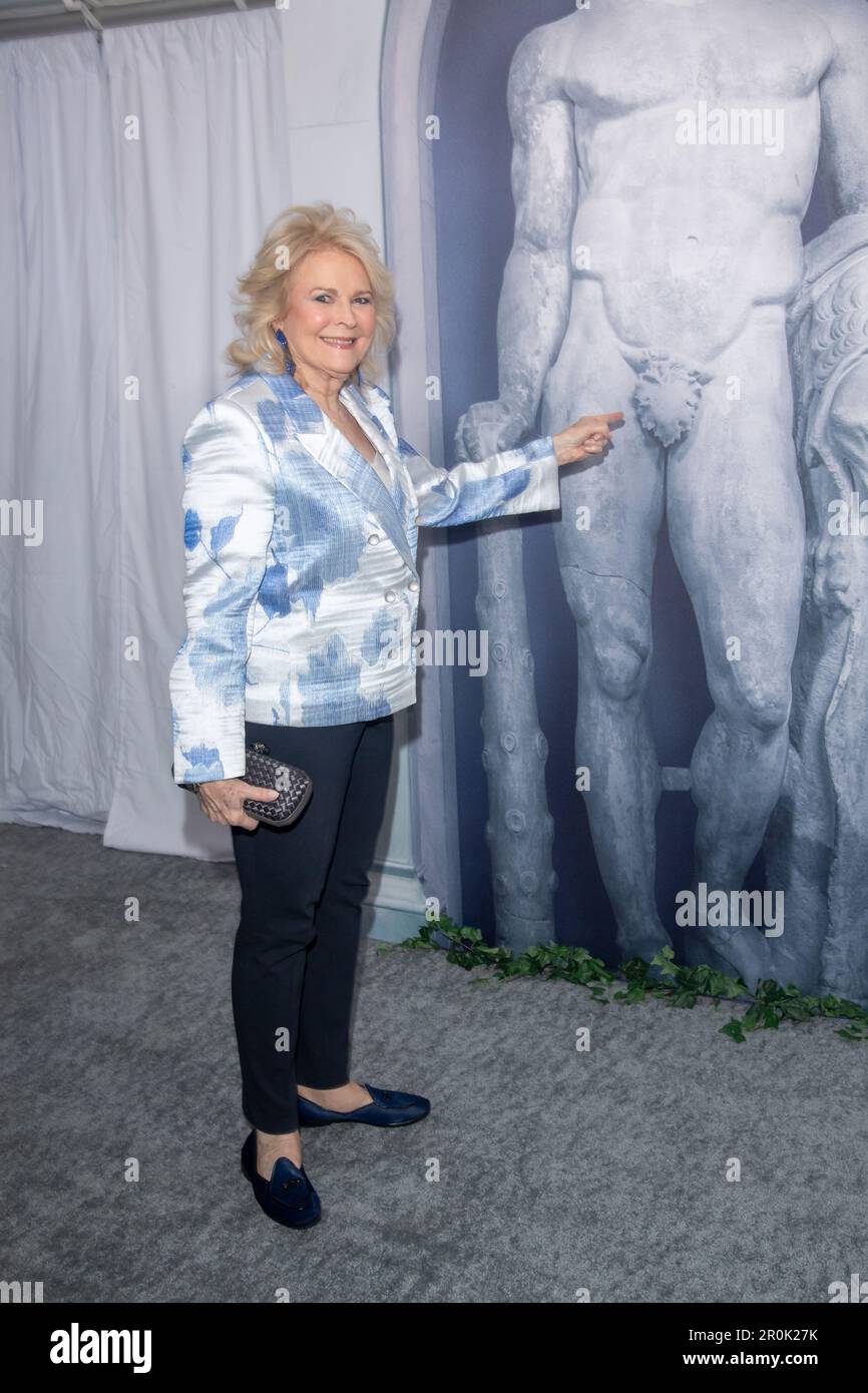 New York, United States. 08th May, 2023. NEW YORK, NEW YORK - MAY 08 ...