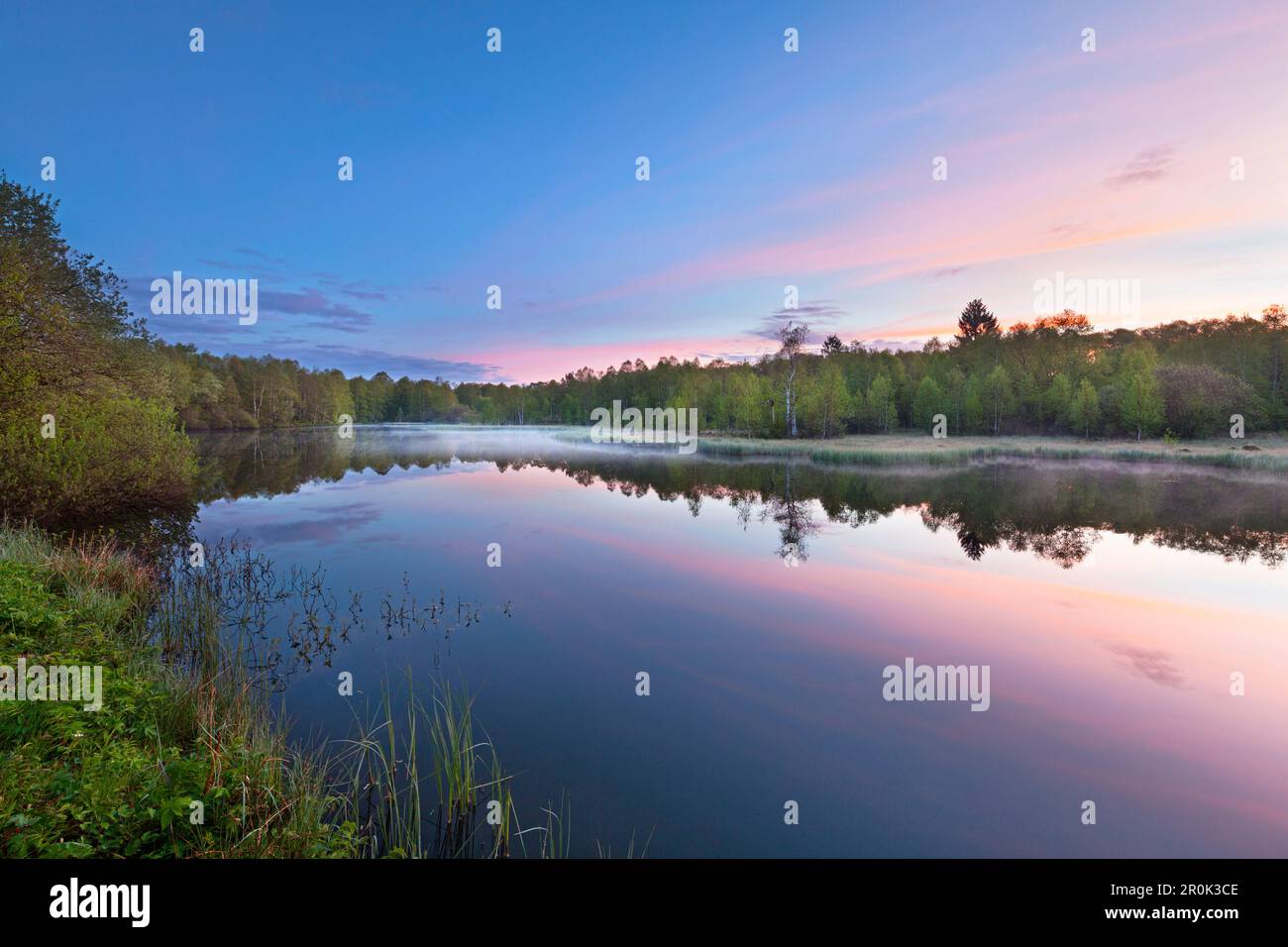 Pond in nature reserve Rotes Moor, Rhoen, Hesse, Germany Stock Photo ...