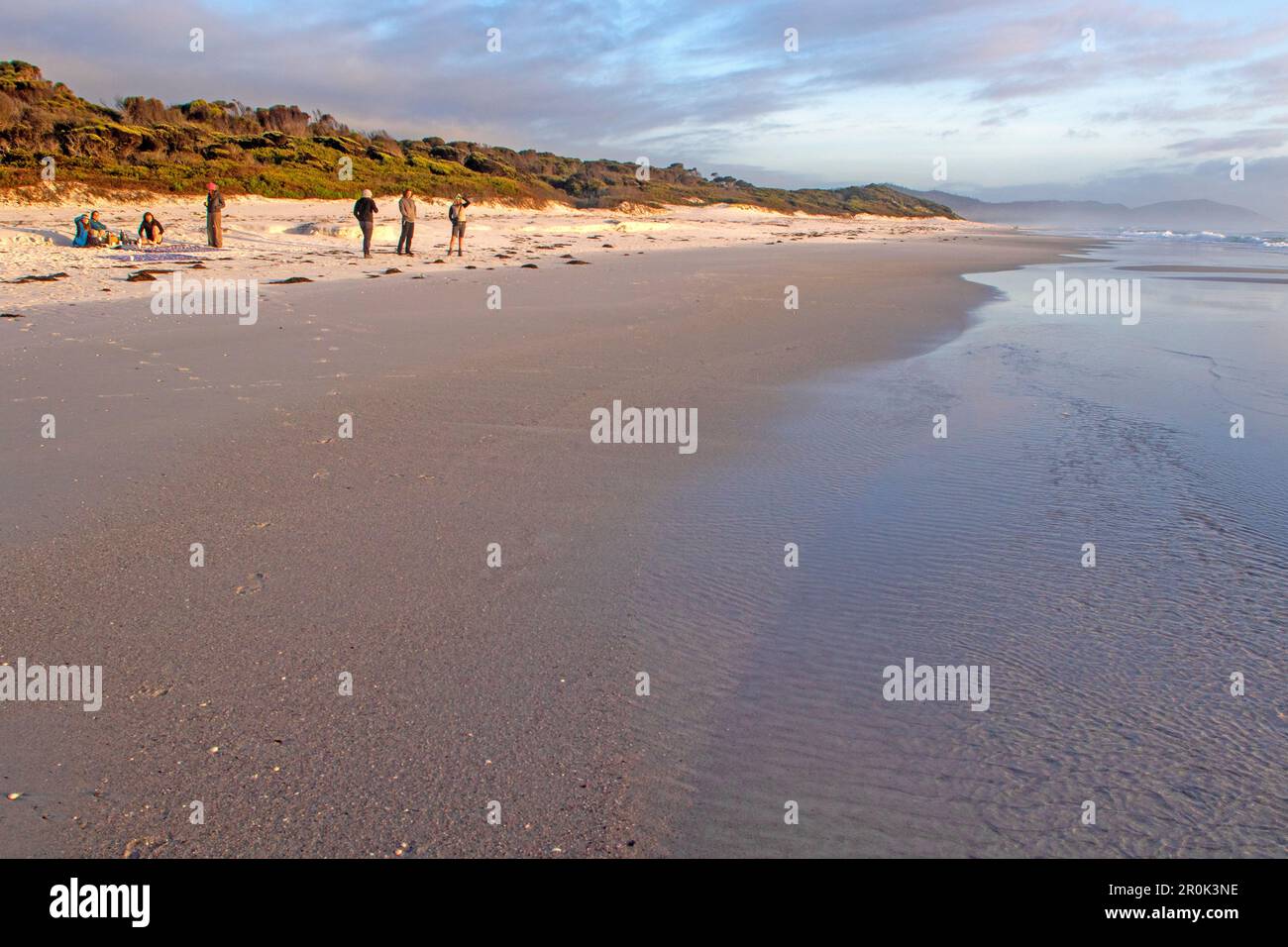 Group of people on the Friendly Beaches at sunrise Stock Photo - Alamy