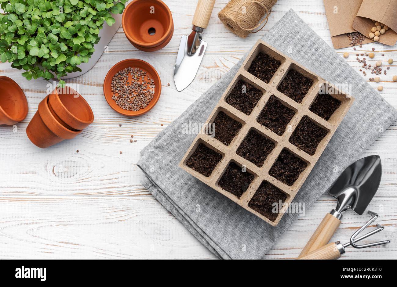 Gardening concept, planting at home. Set of gardening tools and ...