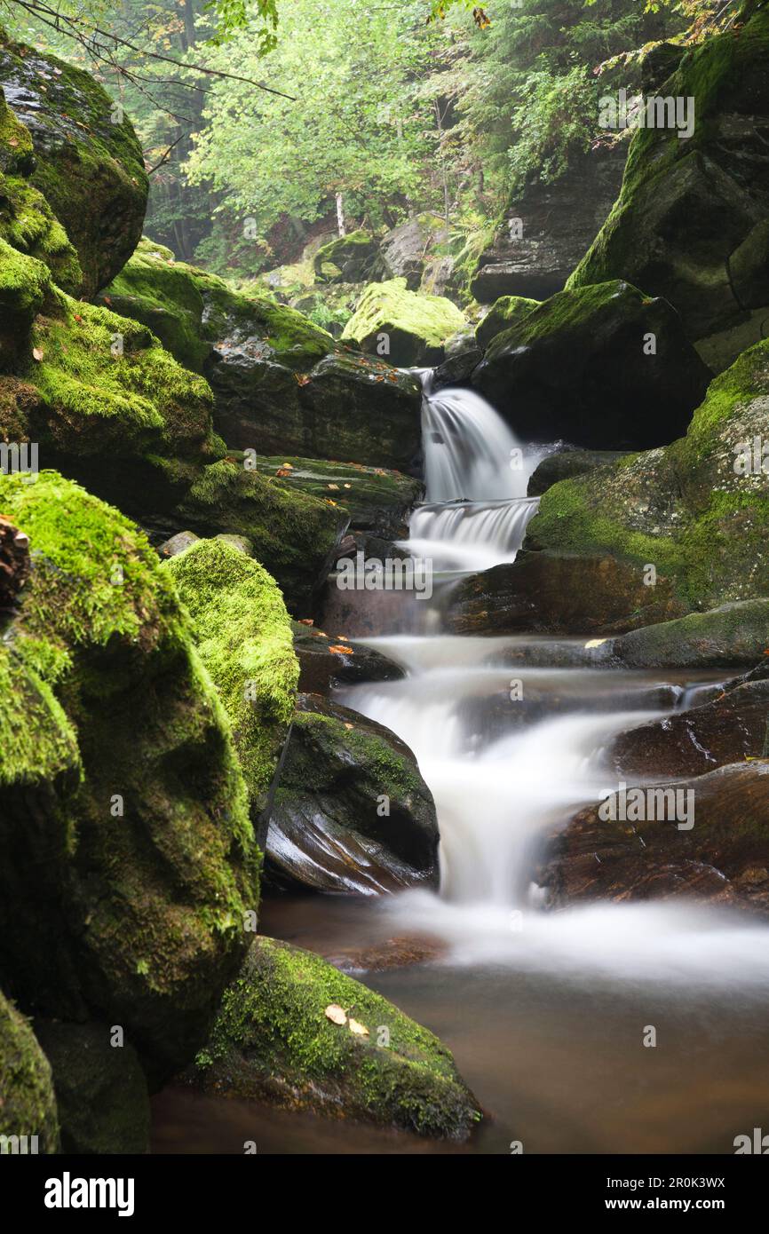 Flume, Steinklamm, Bavarian Forest nature park, Lower Bavaria, Bavaria ...