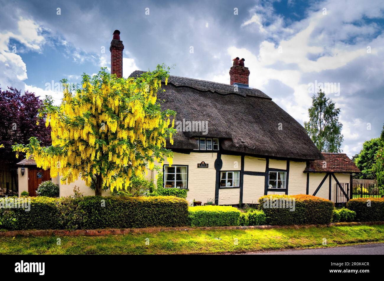 Yellow English Cottage The English Cottage Renovations Portfolio