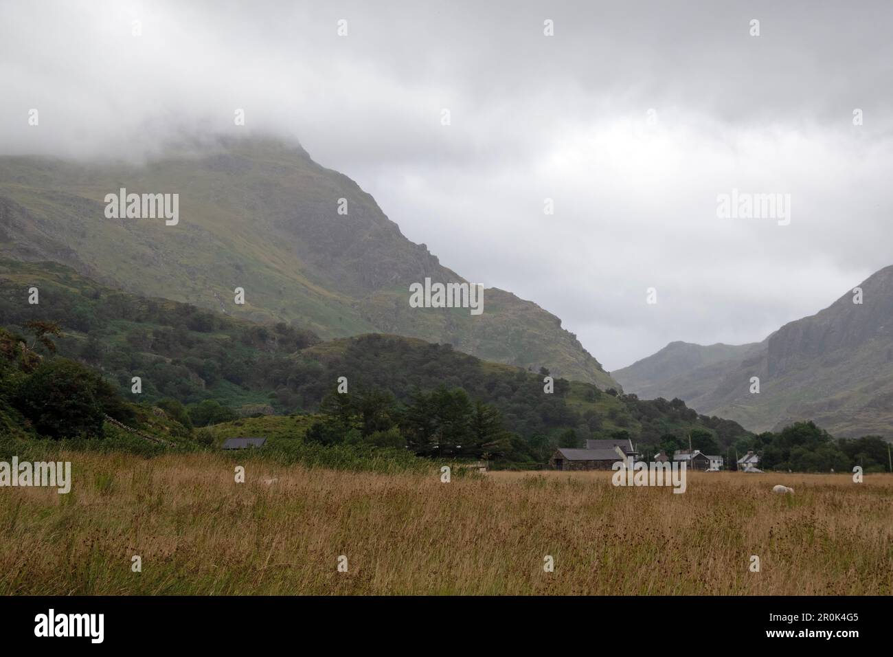 Misty mountains and green meadow Welsh highlands Stock Photo - Alamy