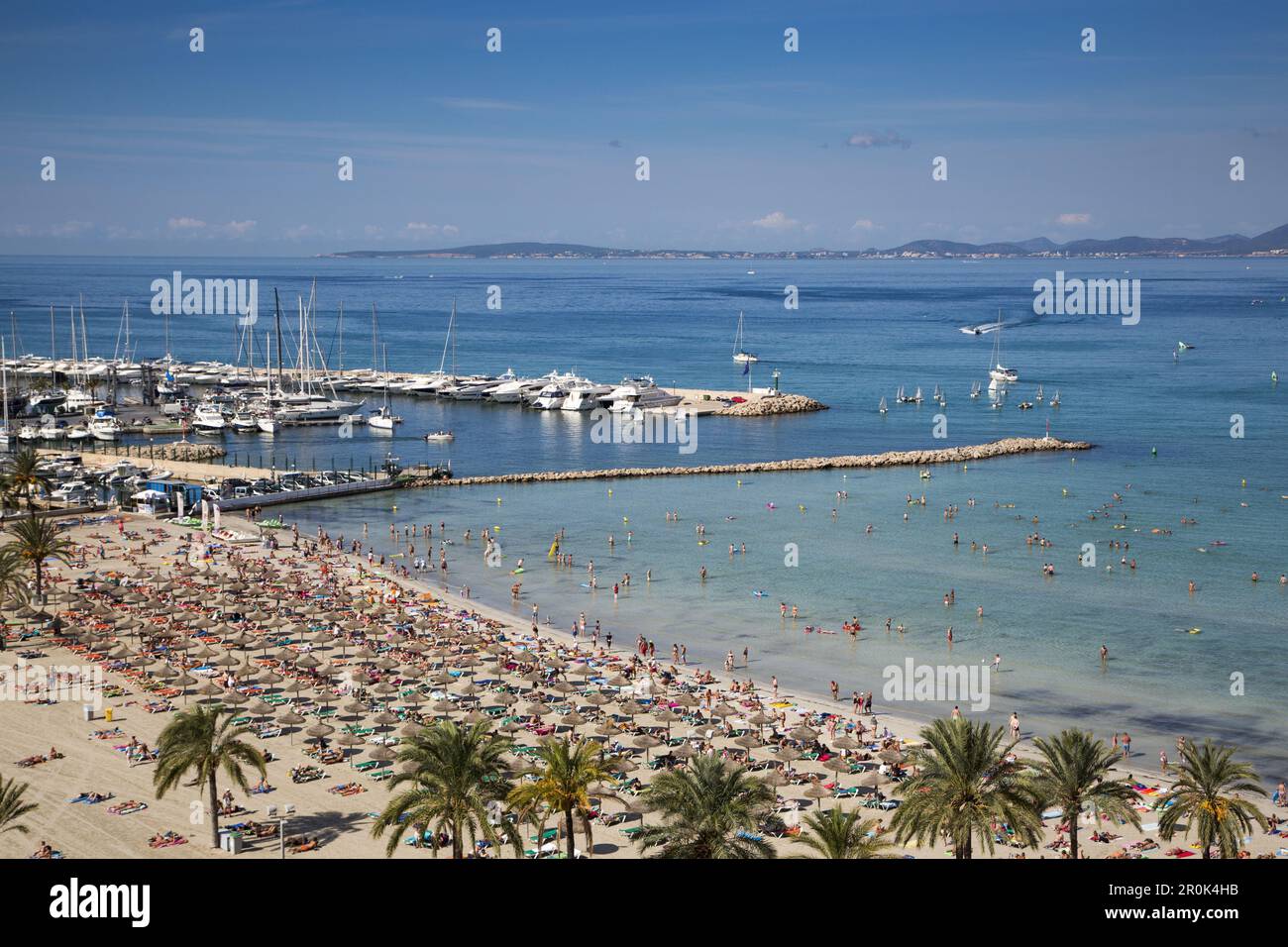 Overhead of palm trees and people on Playa s'Arenal beach with marina ...