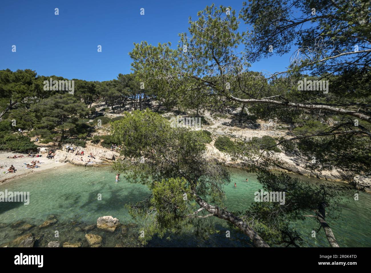 Port Pin beach, Calanques, Cassis, Provence, France Stock Photo - Alamy