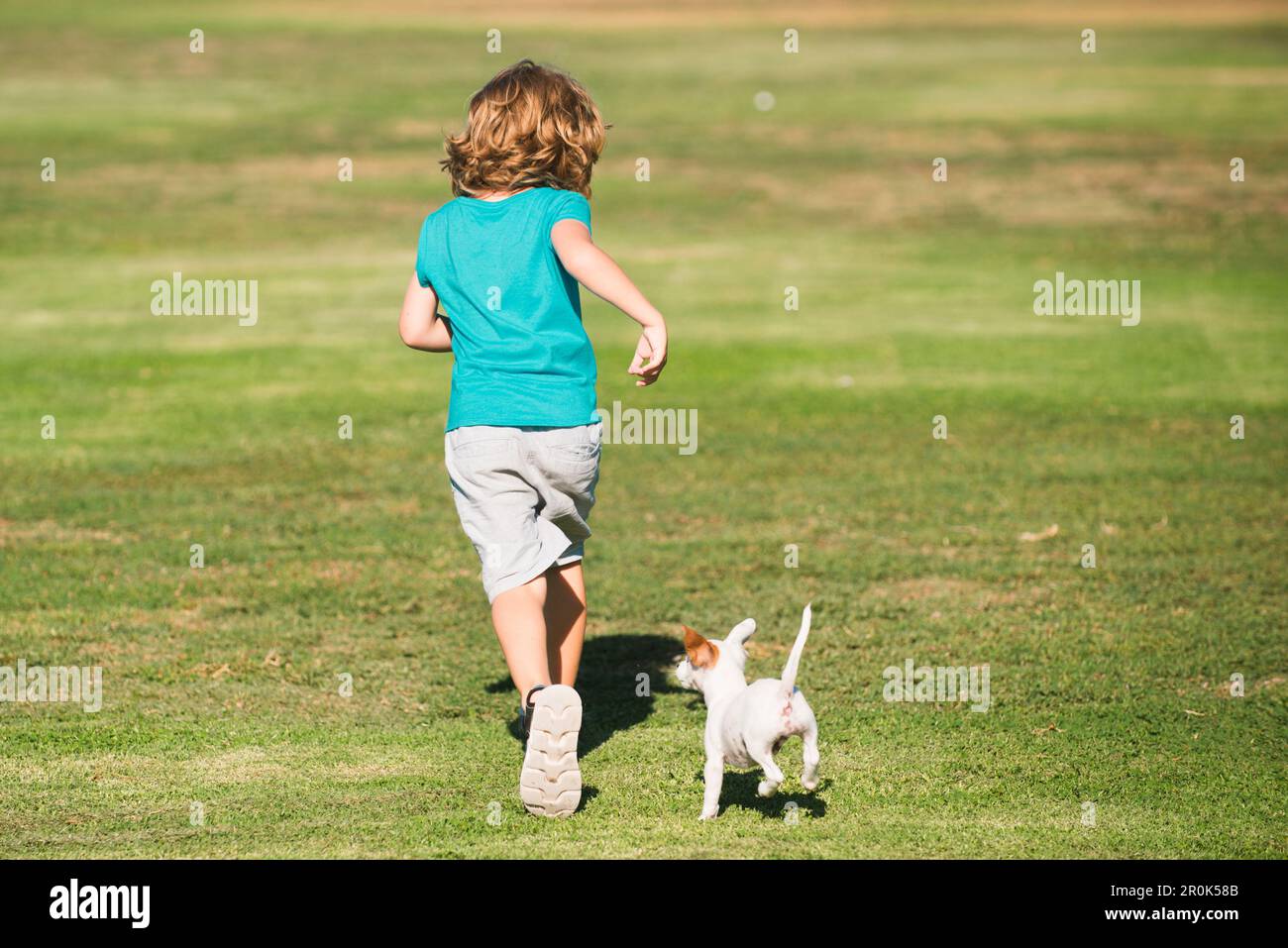 Happy kid run with a dog outdoor Stock Photo - Alamy