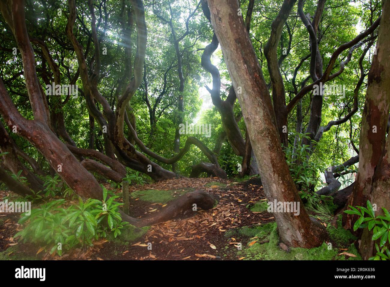 Maentwrog valley hi-res stock photography and images - Alamy