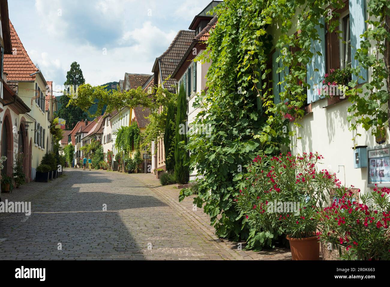 Historical Theresienstrasse, Rhodt unter Rietburg, German Wine Route or ...