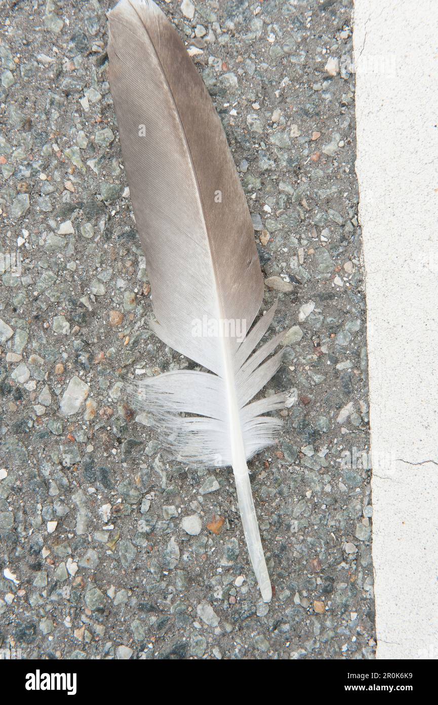 Bird perspective road hi-res stock photography and images - Alamy