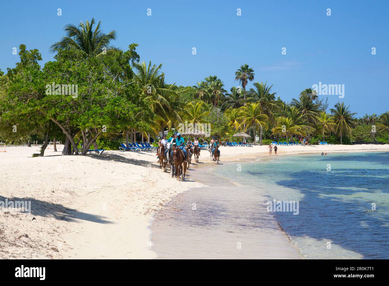 Half moon in jamaica rose hi-res stock photography and images - Alamy