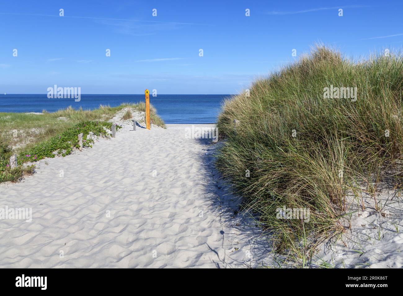 Baltic seaside resort prerow hi-res stock photography and images - Alamy