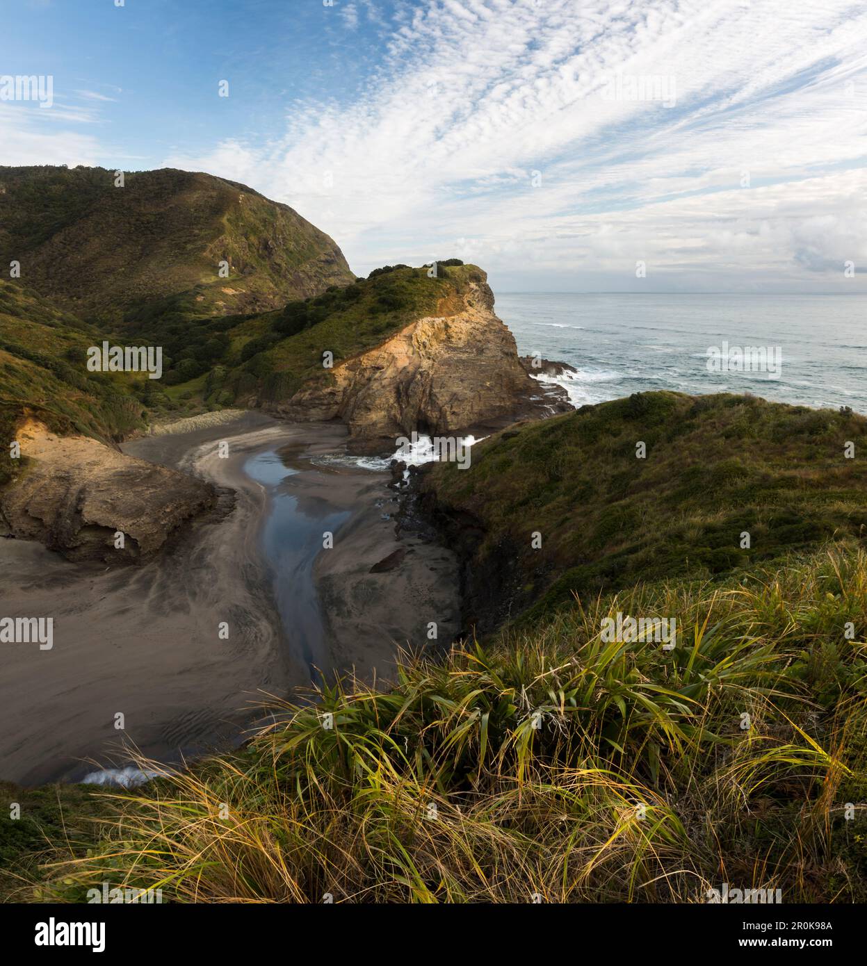 Piha beach, Waitakere Ranges Regional Park, Auckland, Tasman Sea, North ...