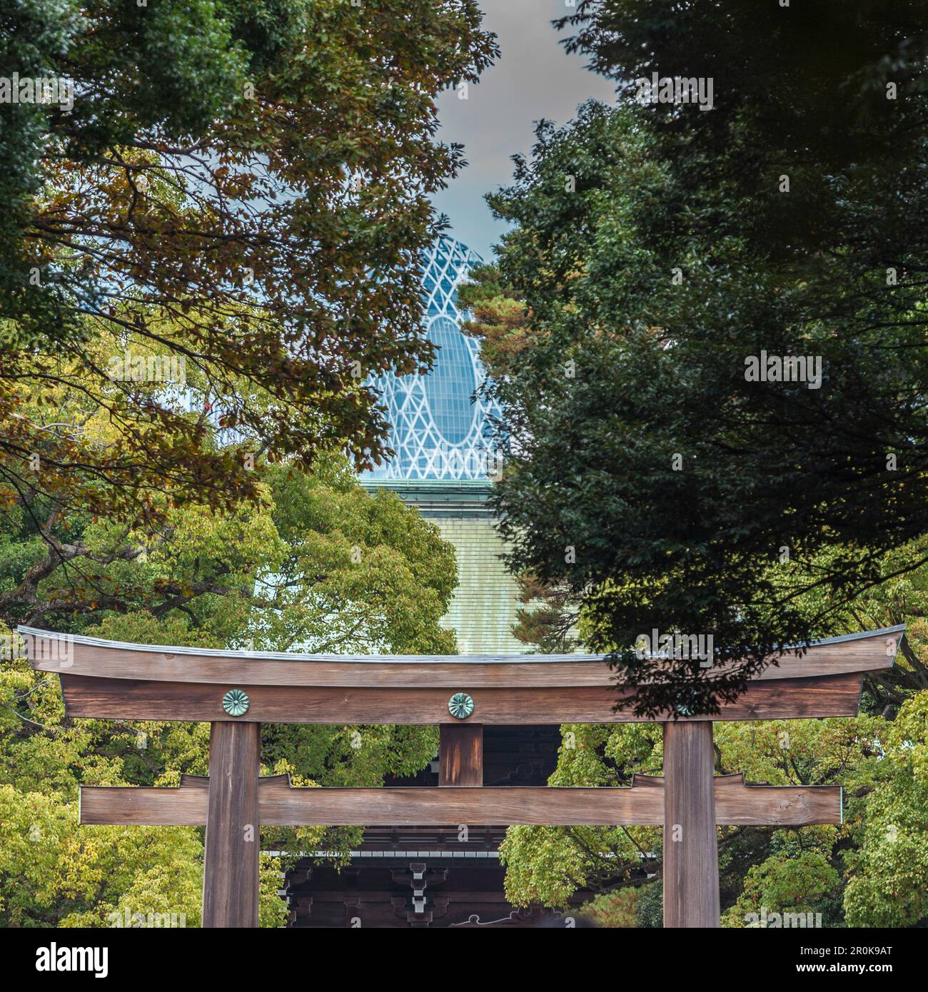 Inner Torii with roof of Meiji Shrine and Cocoon Tower in background ...