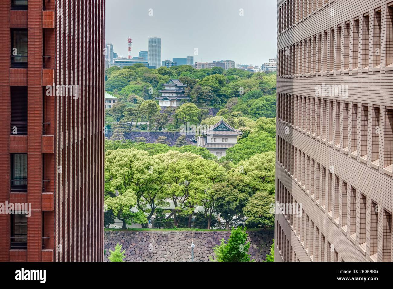 Imperial Palace between a gap of two high-rise buildings, Chiyoda-ku ...