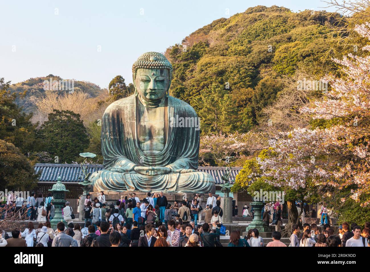 Great Buddha of Kamakura in spring, Kanagawa Prefecture, Japan Stock ...