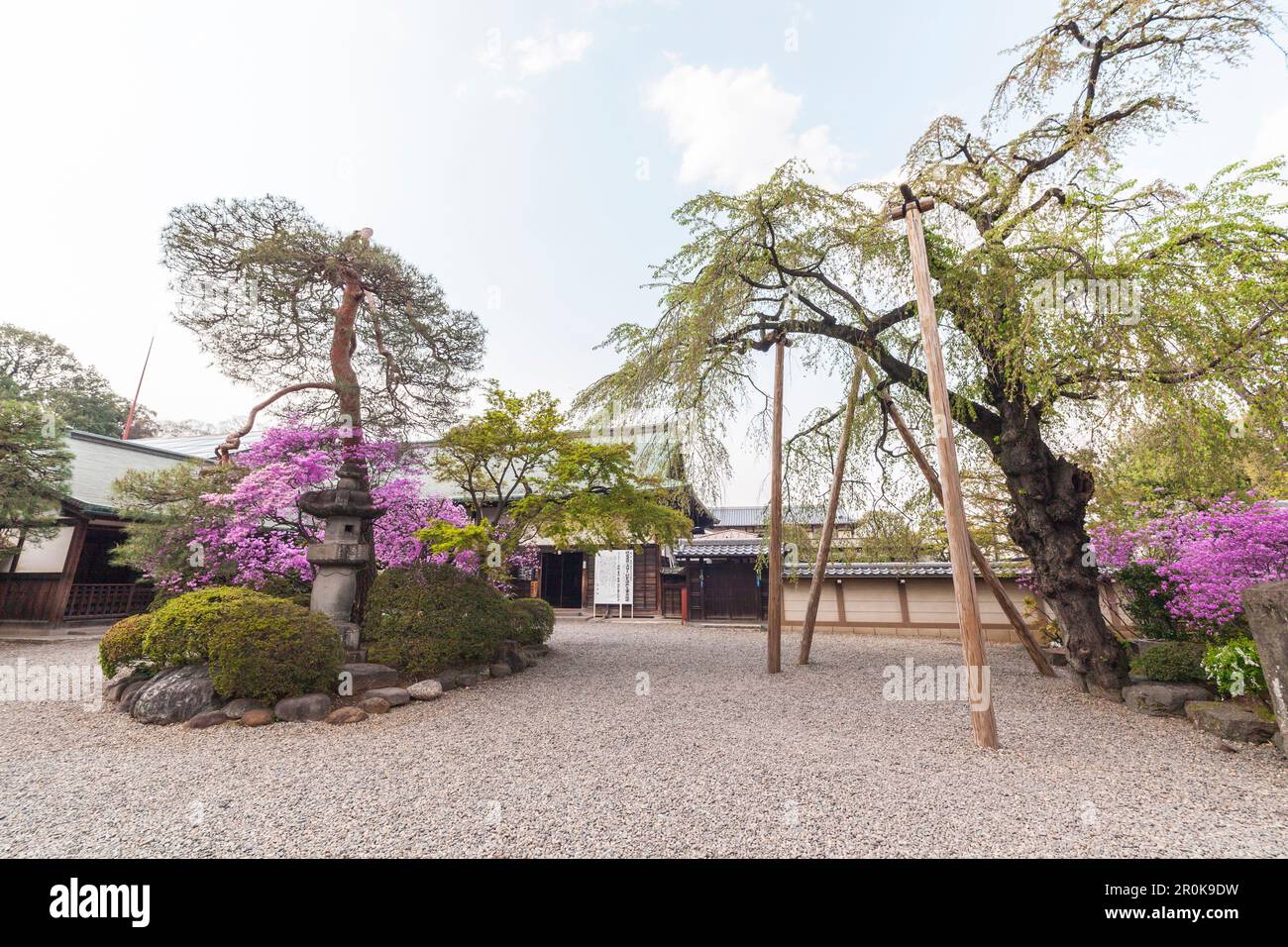 Exterior of Kitain Temple in spring with cherry blossom, Kawagoe ...