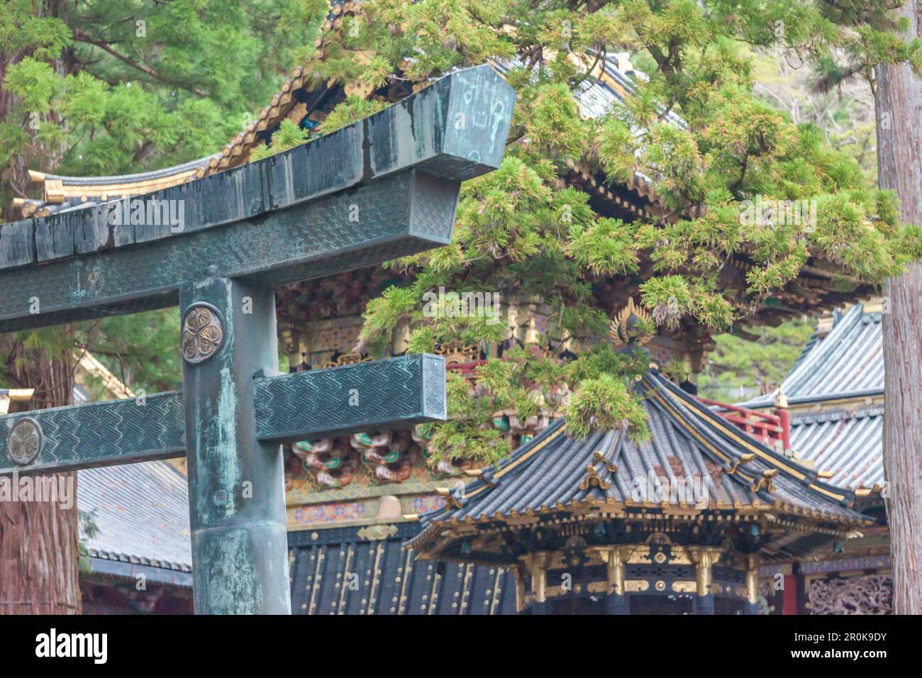 Detailed close-up of Torii at Toshogu-Shrine, Nikko, Tochigi Prefecture ...