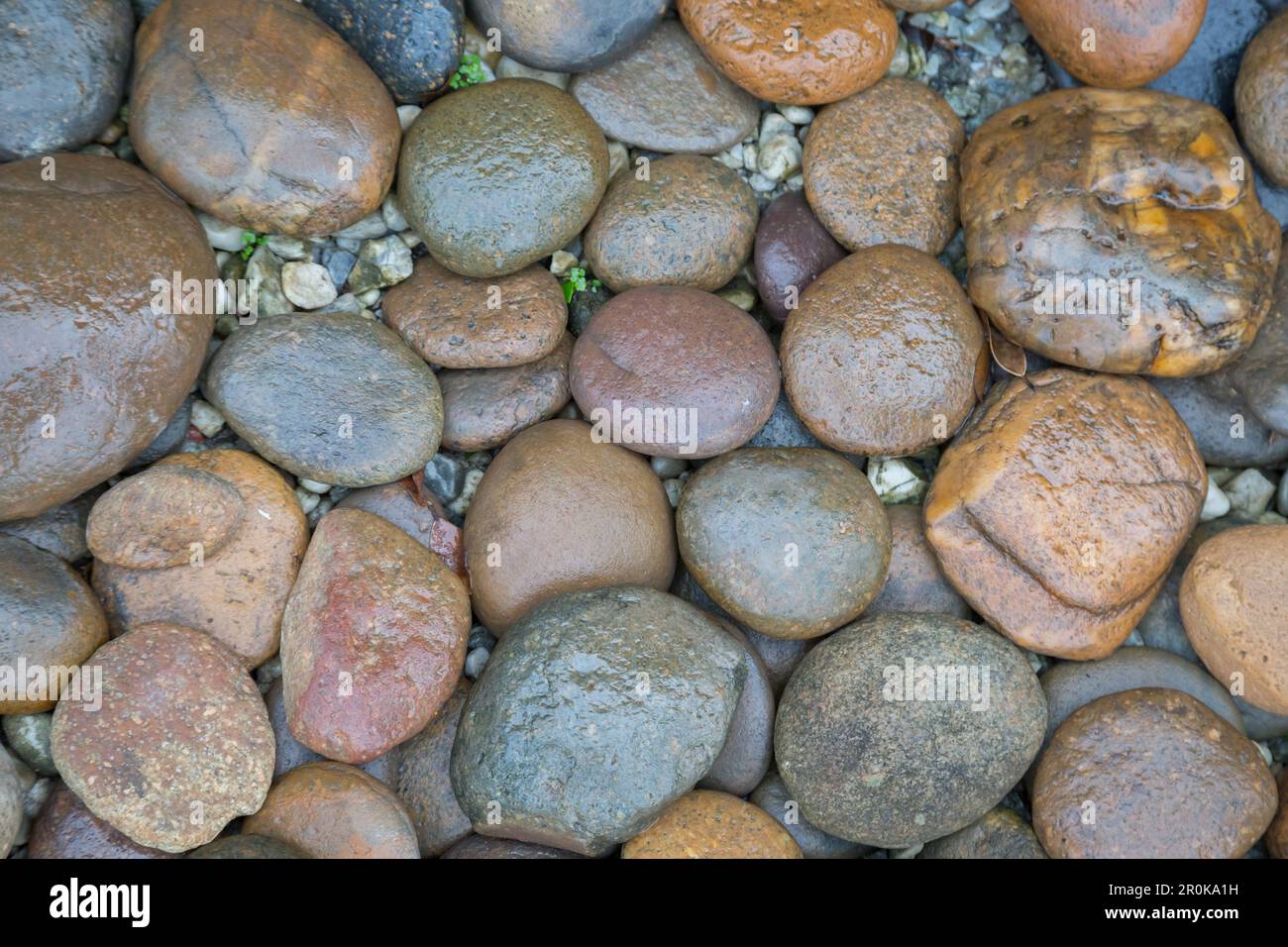Wet rock river texture background Stock Photo - Alamy