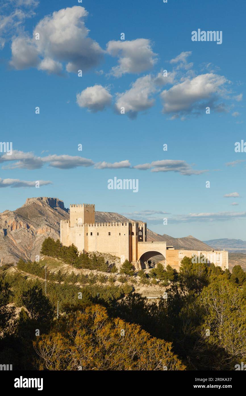 Castillo de Velez-Blanco, Castillo de los Fajardos, castle, 16th ...