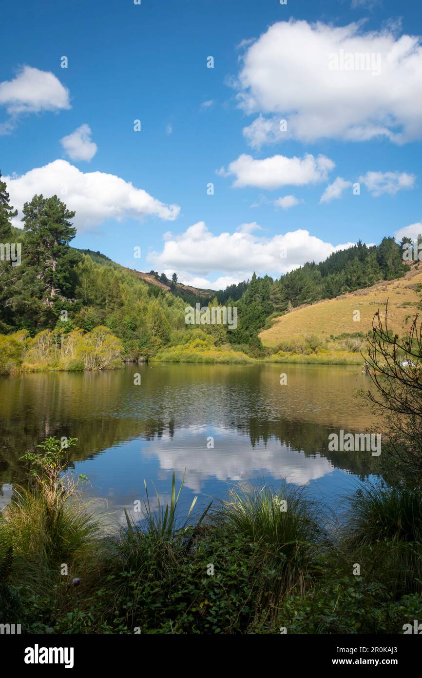 Lake at Gabriel's Gully camp site, near Lawrence, Otago, South Island ...
