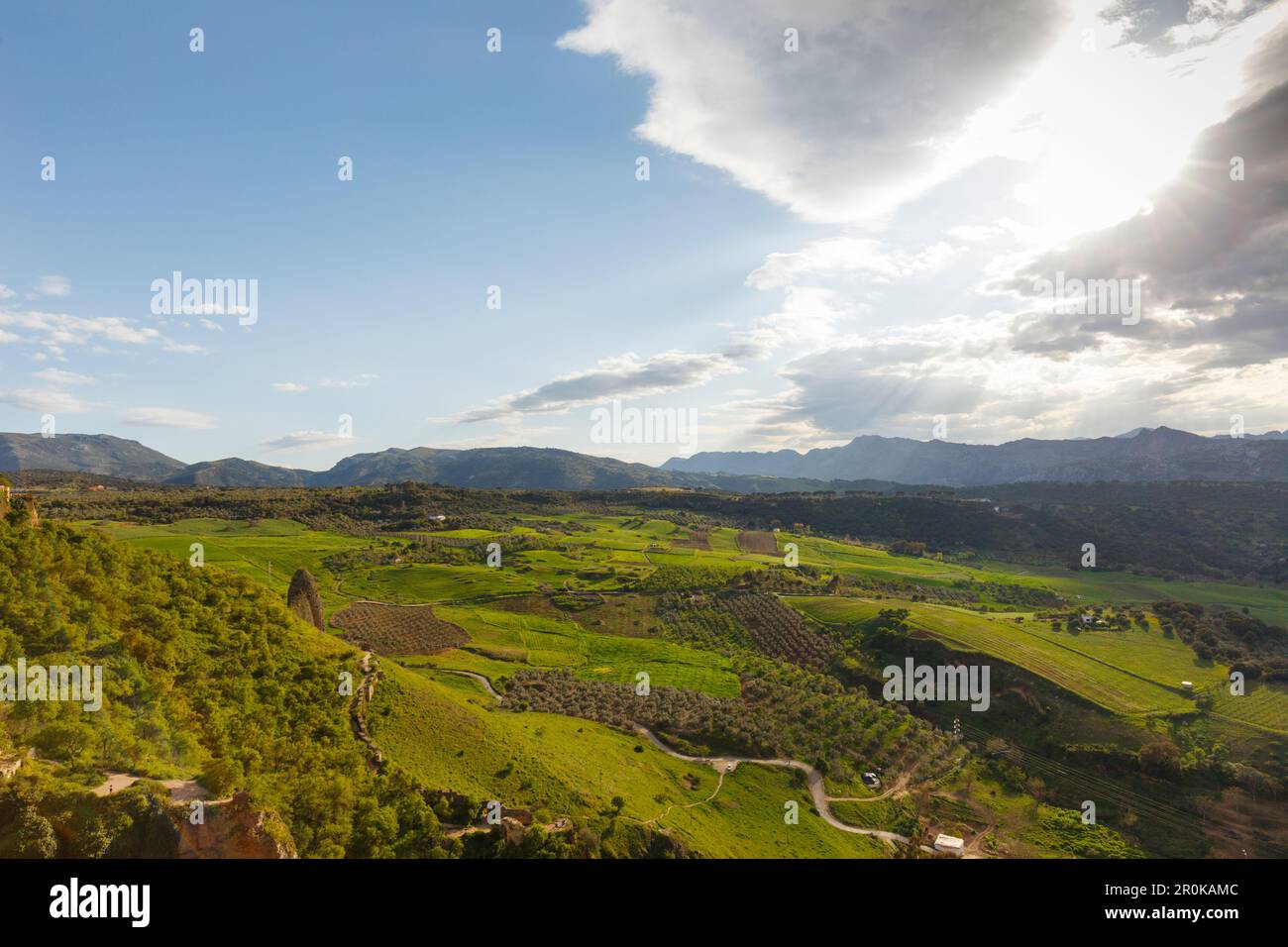 green landscape with olive trees, view from Puente Nuevo bridge, Ronda ...