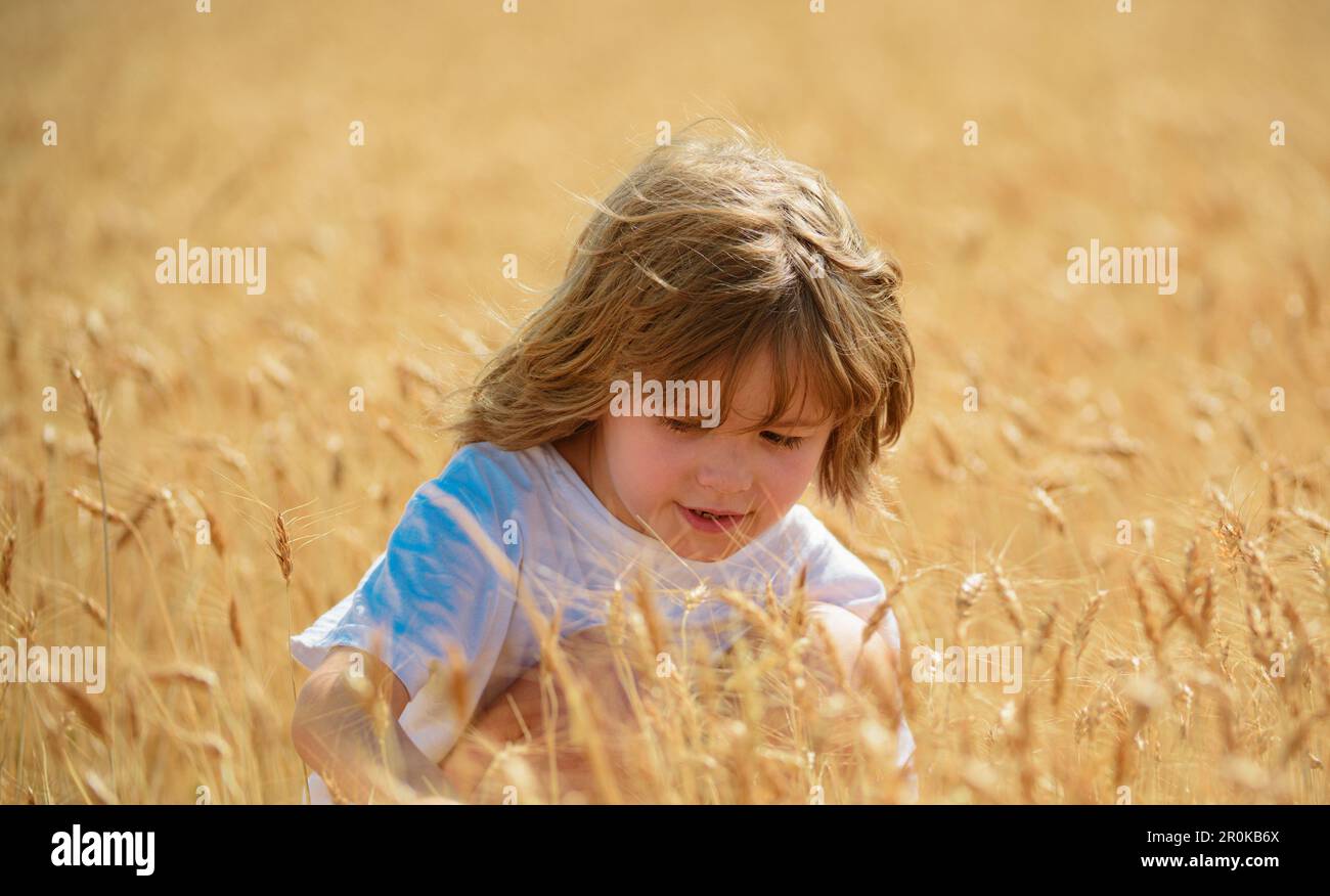 Kids farmer on field. Wheat is a cereal plant, the grain of which is ...