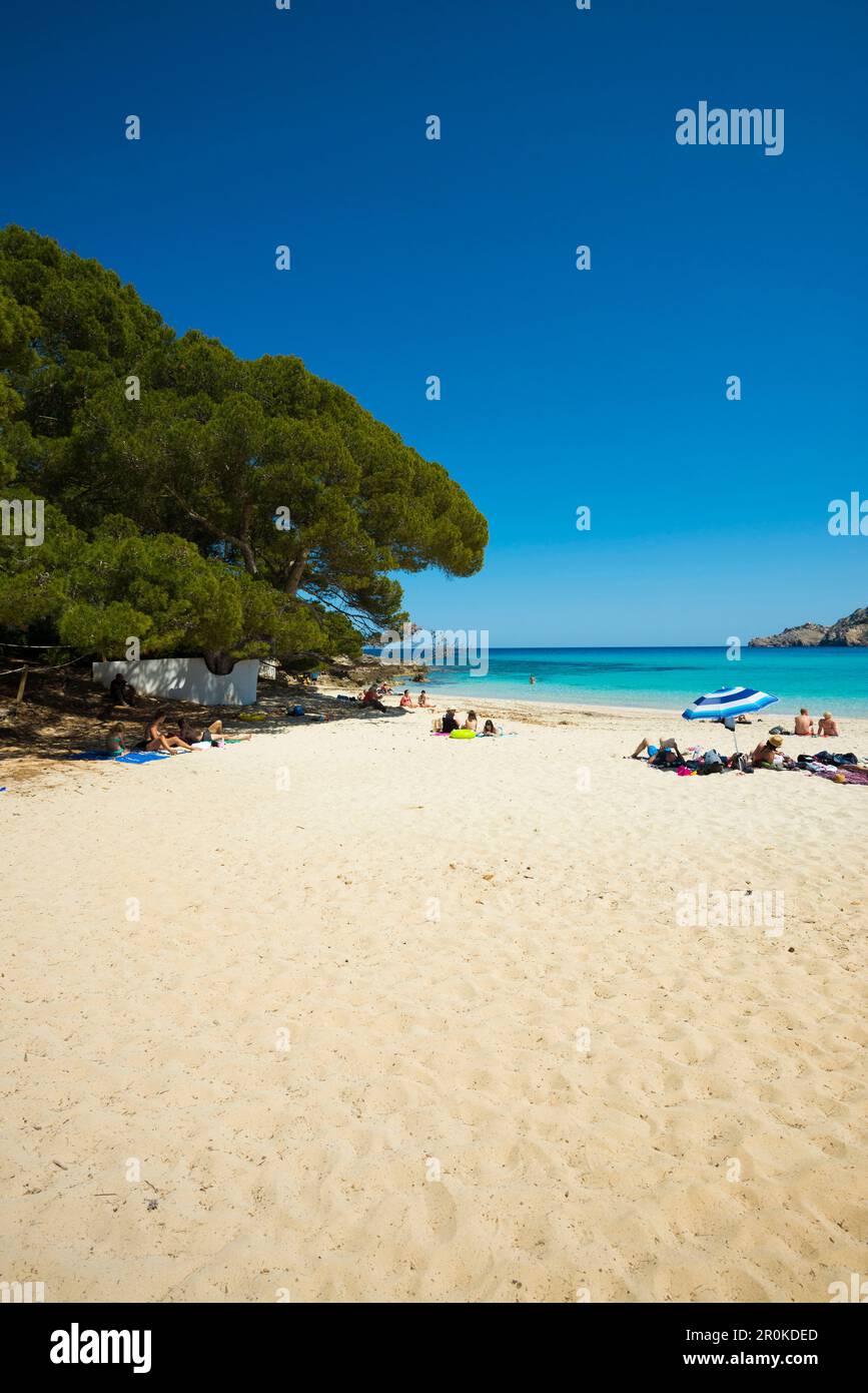 Cala Guya beach, Cala Ratjada, Majorca, Balearic Islands, Spain Stock ...