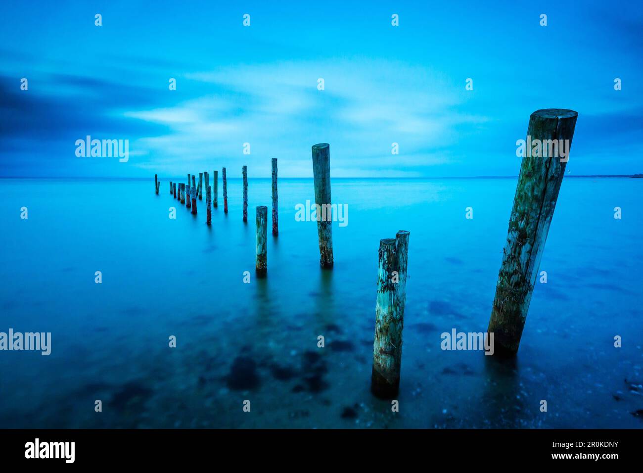 Wooden posts, Baring Strand, Middelfart, Baltic Sea, Funen, Denmark ...