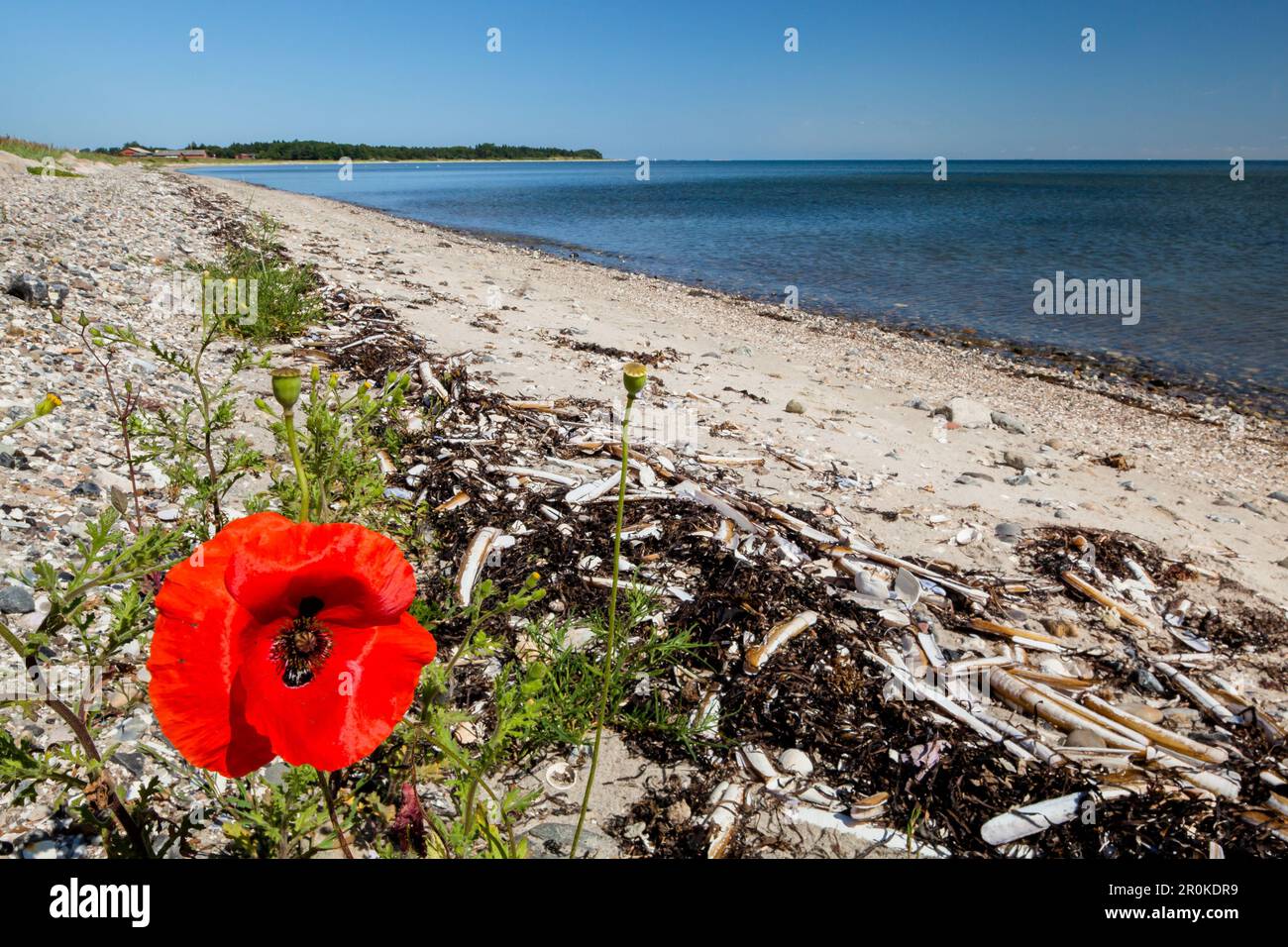 Lyng hi-res stock photography and images - Alamy