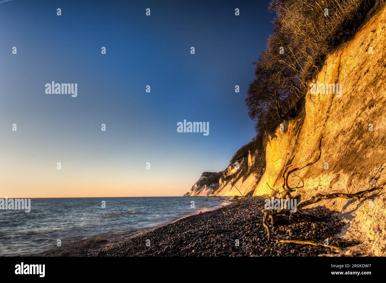 Driftwood on the beach, Chalk Cliffs, White Cliffs of Moen, Moens Klint ...