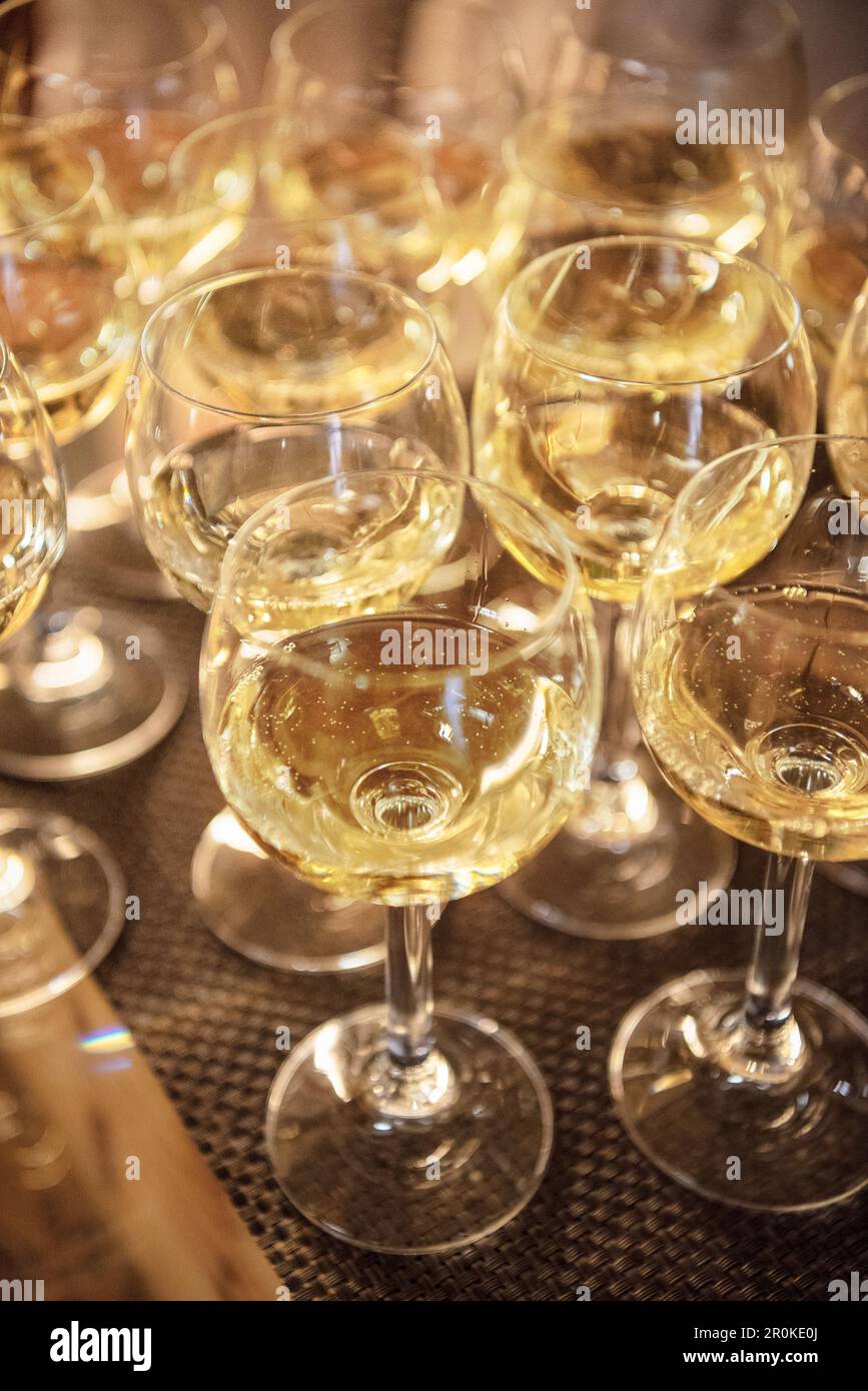 wine tasting at cooking course at Swabian Alb, Baden-Wuerttemberg ...