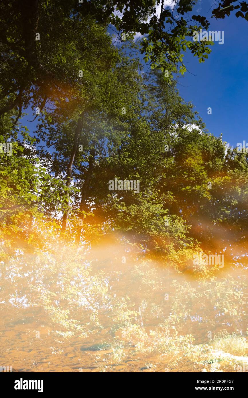 Tree reflections in the river merged with riverbed translucent ...