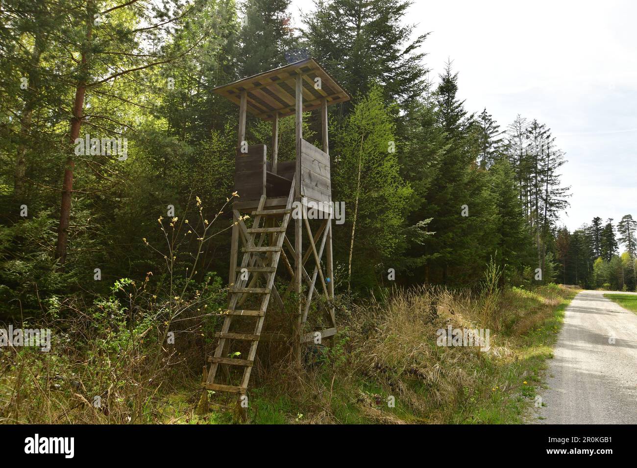 Hunting Hide in german Forest in Summer Stock Photo - Alamy