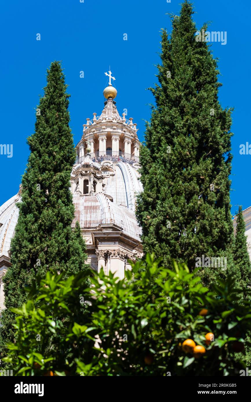 The dome of the St. Peter's Basilica Basilica di San Pietro seen from ...